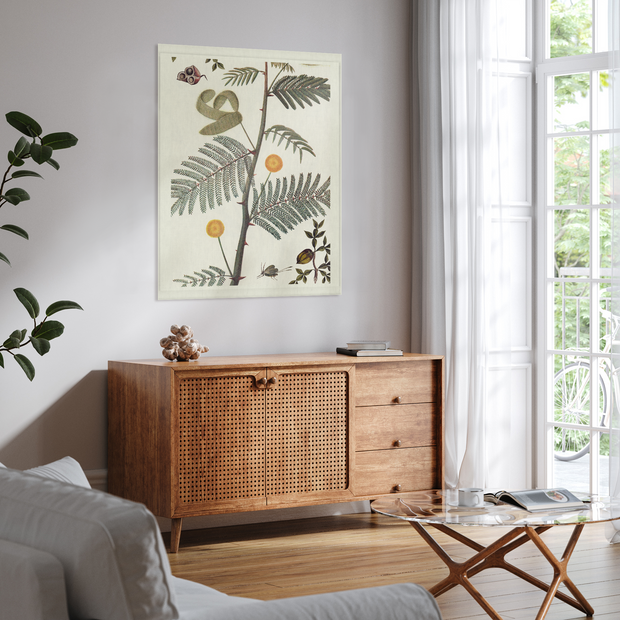 Acacia | Wall hanging – Cara Saven Decor